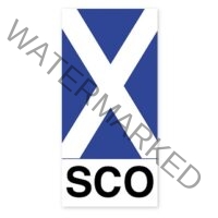 Saltire plate sticker » Patch's & Sticker's | Highland Etc Ltd
