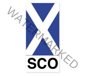 Saltire plate sticker » Patch's & Sticker's | Highland Etc Ltd